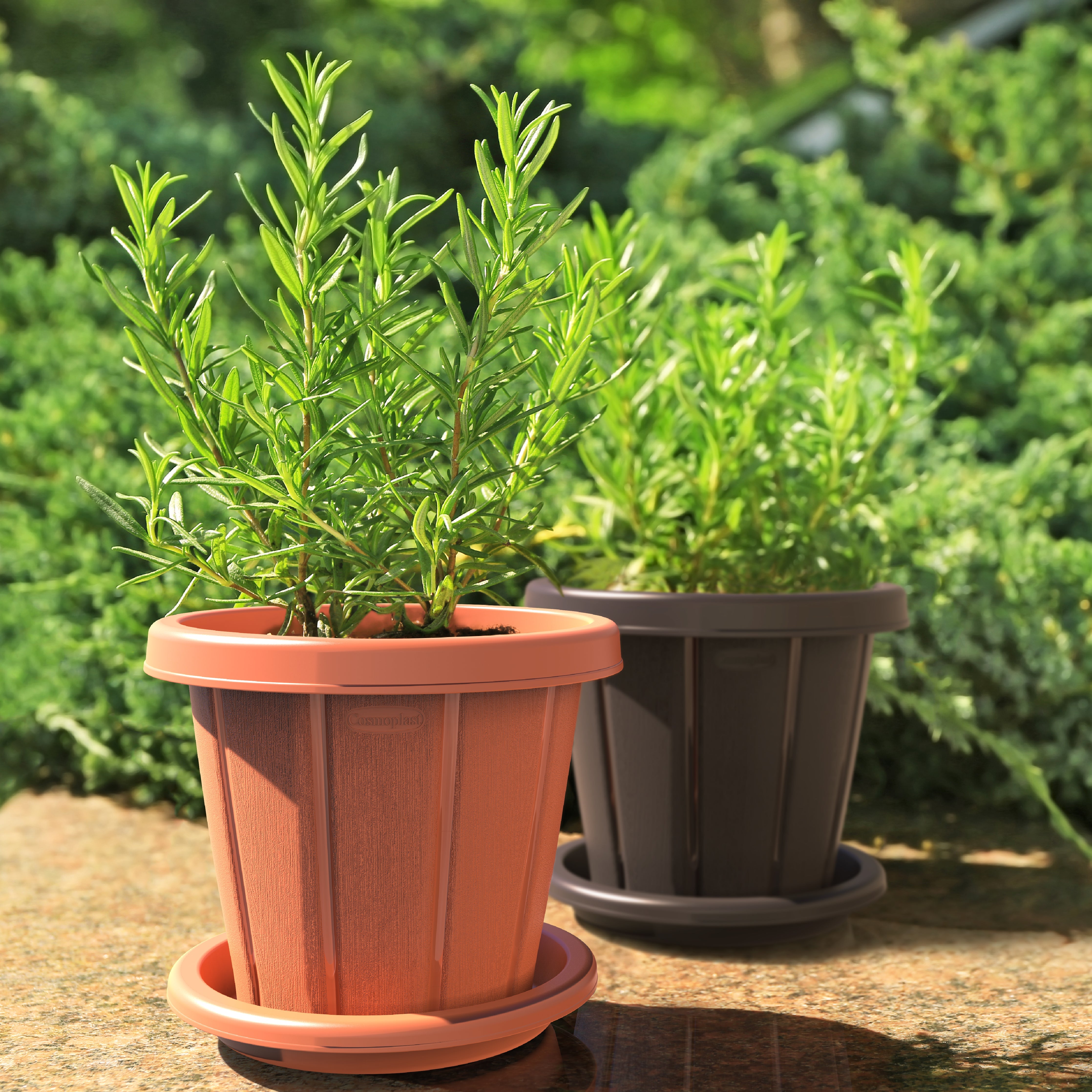 Shop for Plant Pots and Box with Tray-Garden – Cosmoplast Qatar